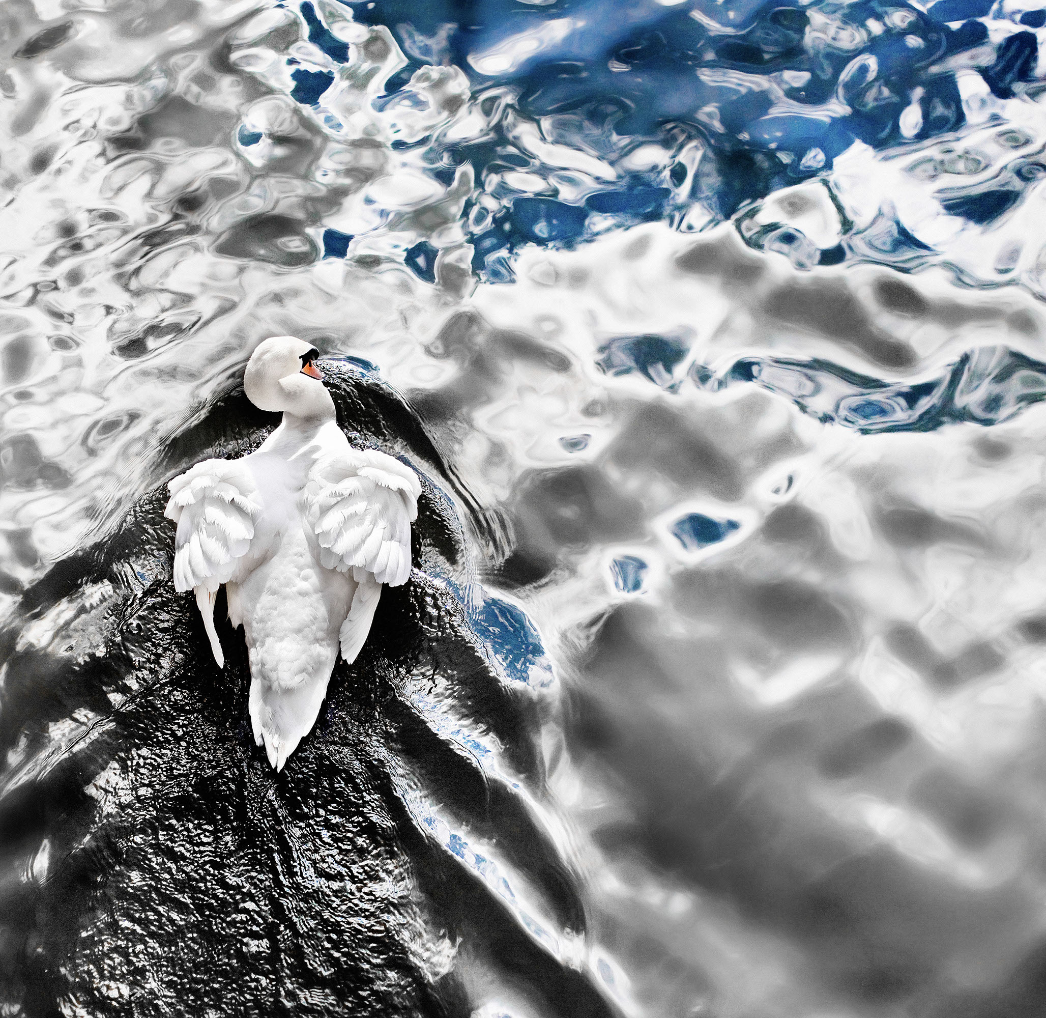 Views | Jonathan Lucas | Design | Photography